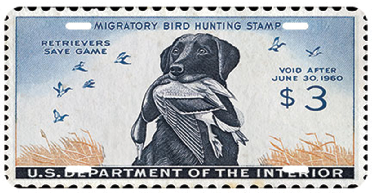 2024 Waterfowler's Wish List | Ducks Unlimited